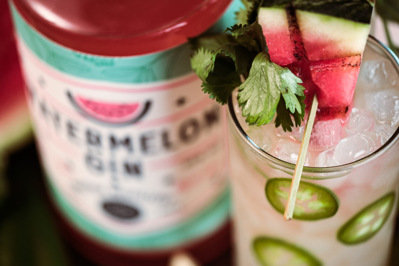 Silver King | Cocktail Recipe Featuring Hansen's Watermelon Gin ...